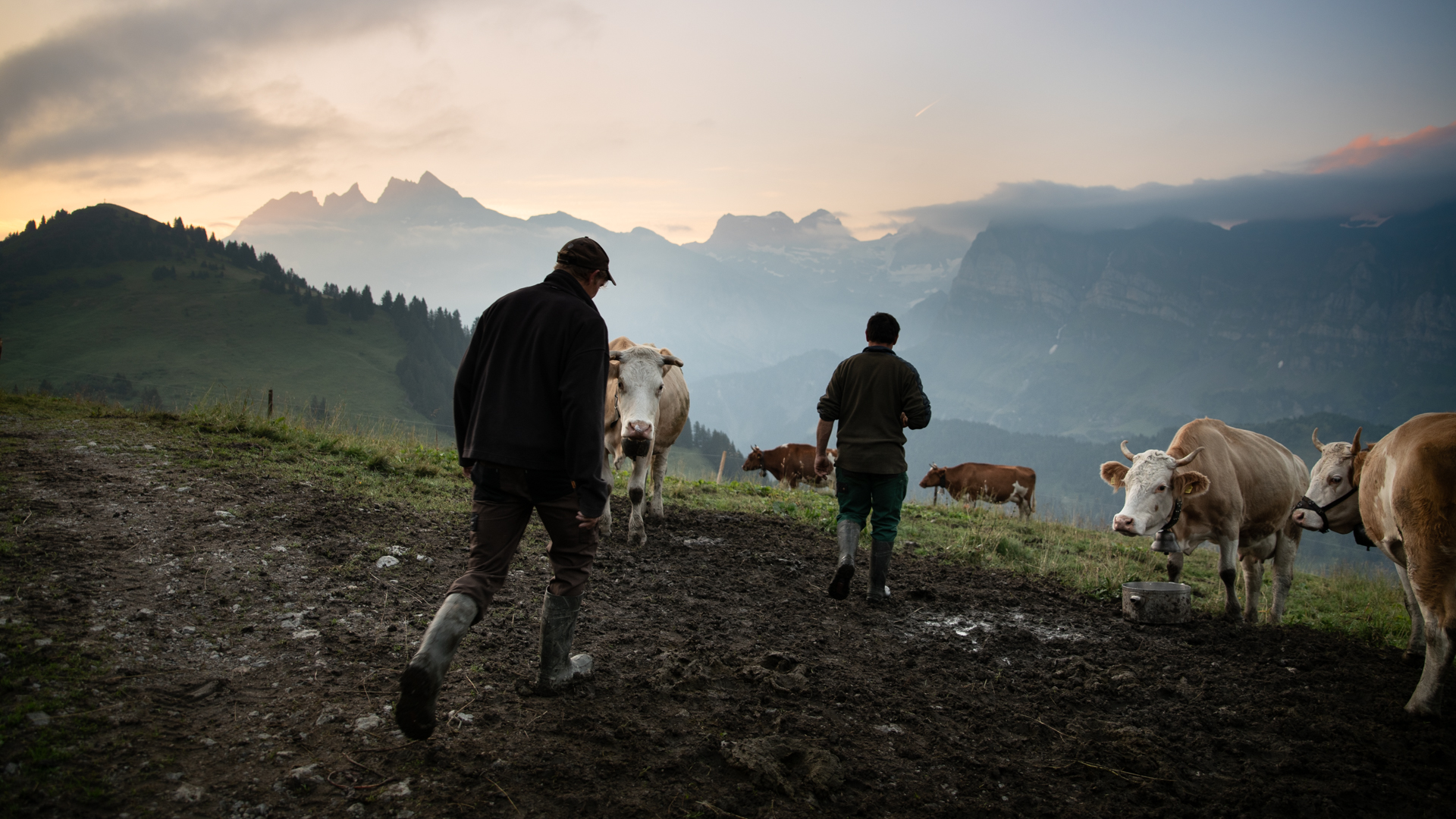 Montée à l'alpage: départ imminent! - La Cavagne